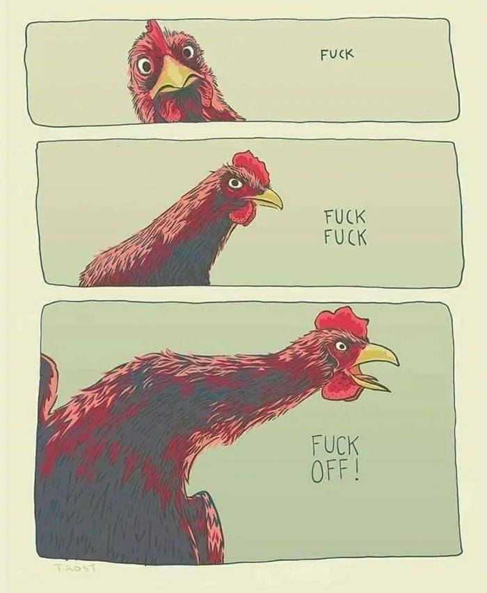 Cock 9gag