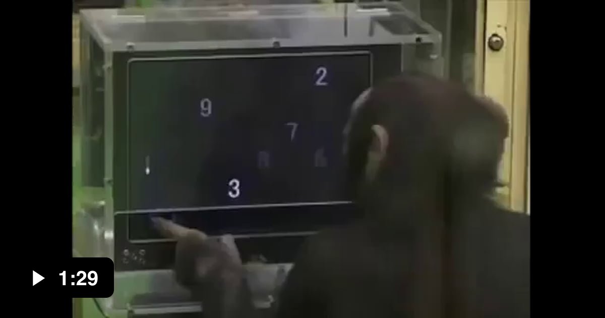 Short-term memory test monkeys and humans - Primate Research Institute ...