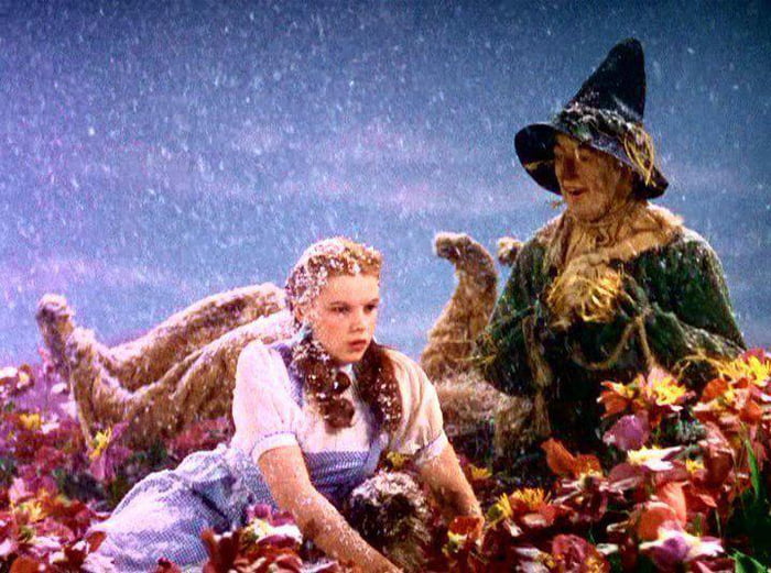 The fake snow used in The Wizard of Oz was actually asbestos-based ...