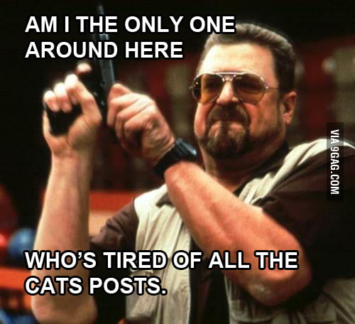 Read the post, trust me - 9GAG