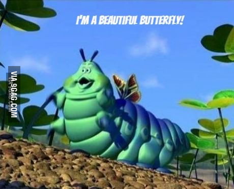 Whenever a fat lady gets a butterfly tattoo on them - 9GAG