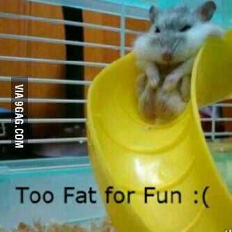 Too fat for fun - 9GAG