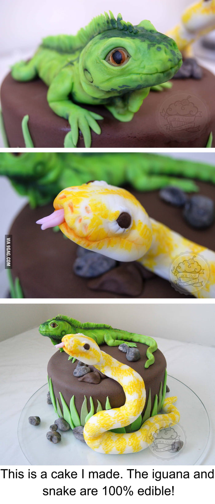 Sugar iguana and snake are delicious! This is a cake a made! Couldn´t ...