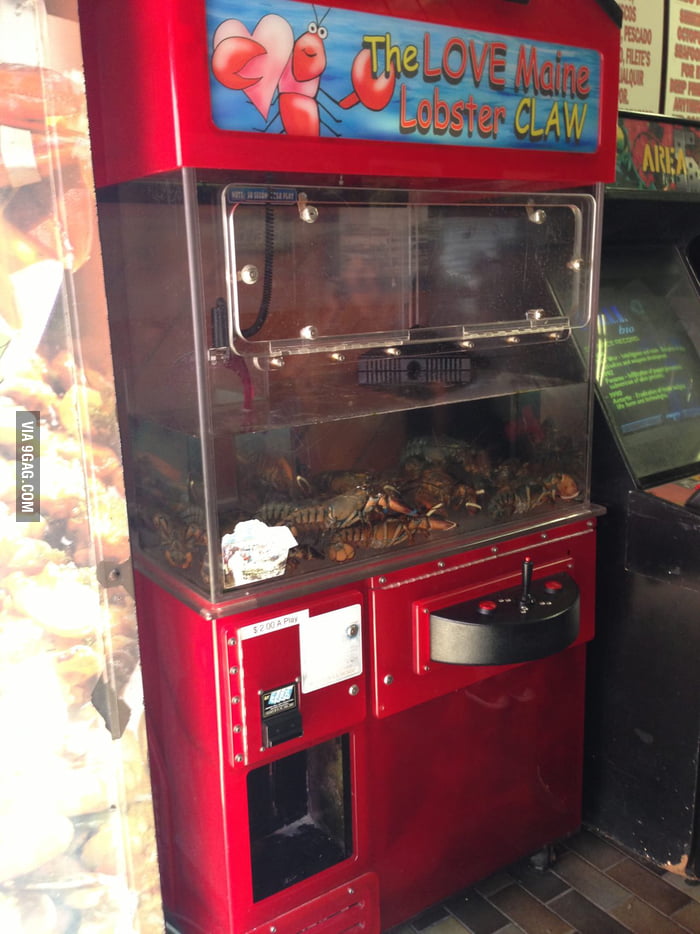 Just a lobster claw - 9GAG