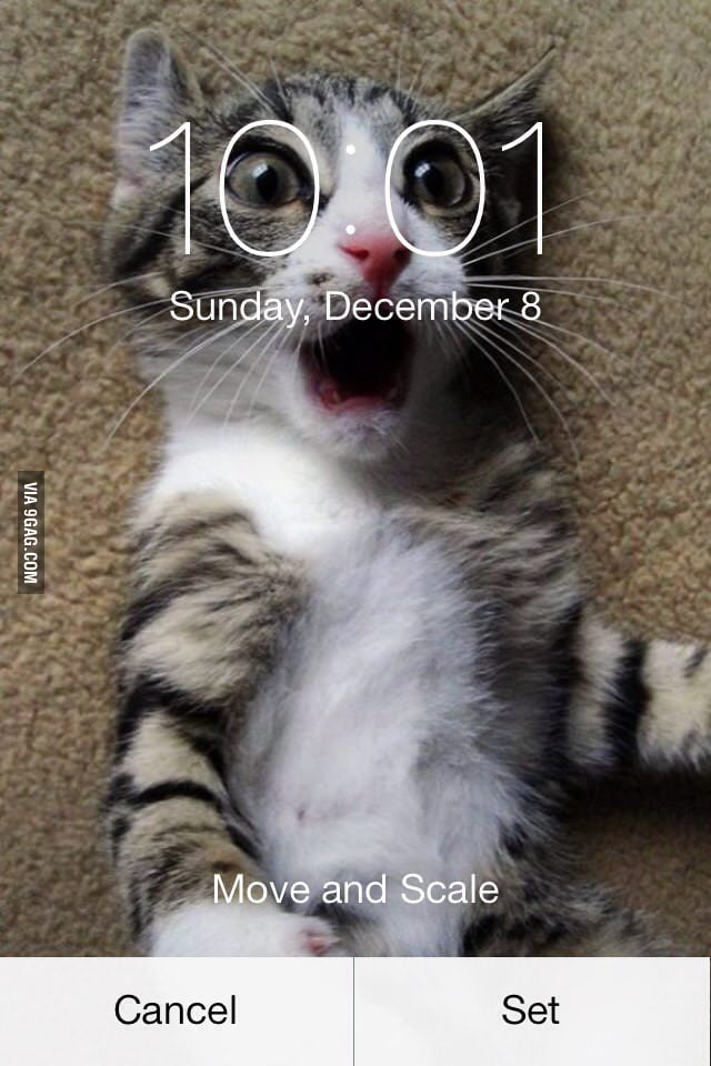 Every 12 hours, I will laugh. - 9GAG