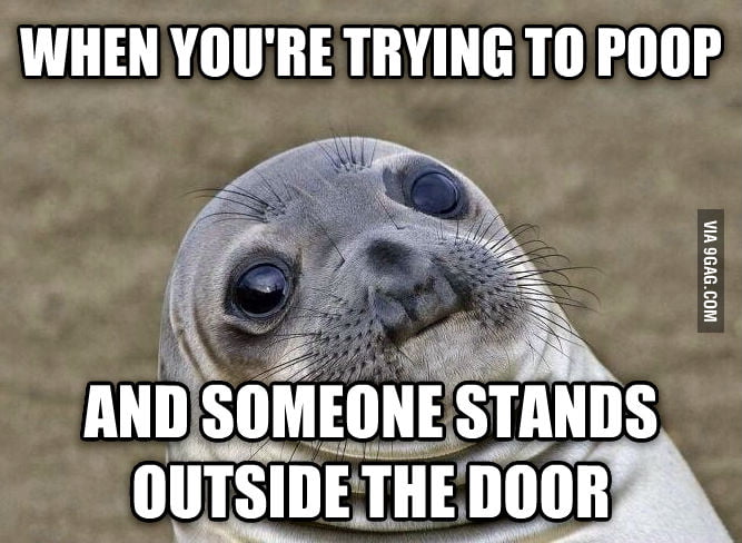 Uncomfortable Situation Seal - 9GAG