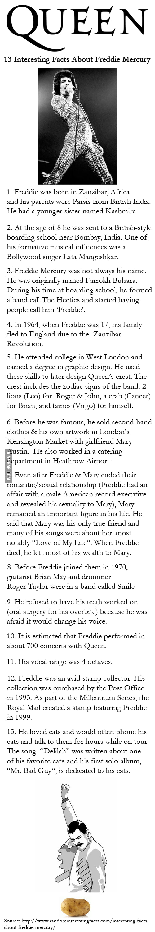 Interesting Facts About Freddie Mercury 9GAG interesting-facts-about-freddie-mercury-9gag