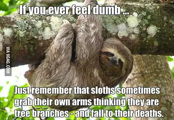 Something to bear in mind - 9GAG