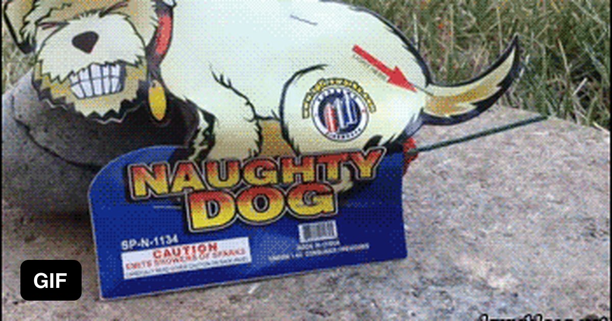 Talk about a flaming bag of poo - 9GAG