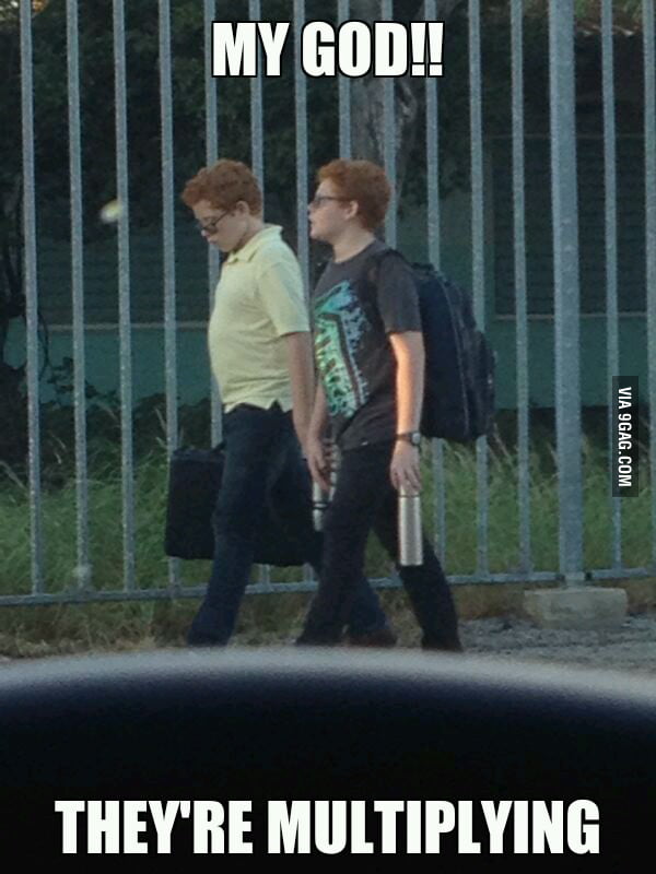 My GOD!! they're multiplying !! - 9GAG