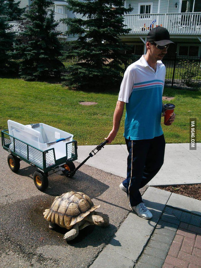 Just saw this awesome guy walking his huge turtle - 9GAG