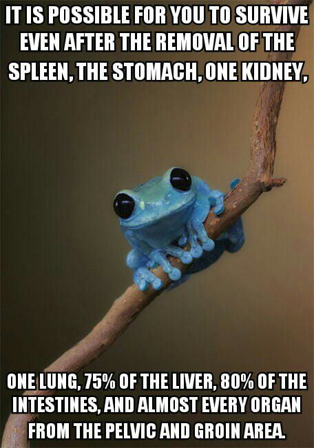 Lets try this out!! - 9GAG