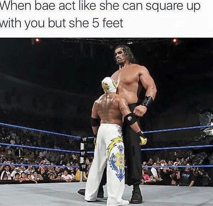 Girl Fight Meme
