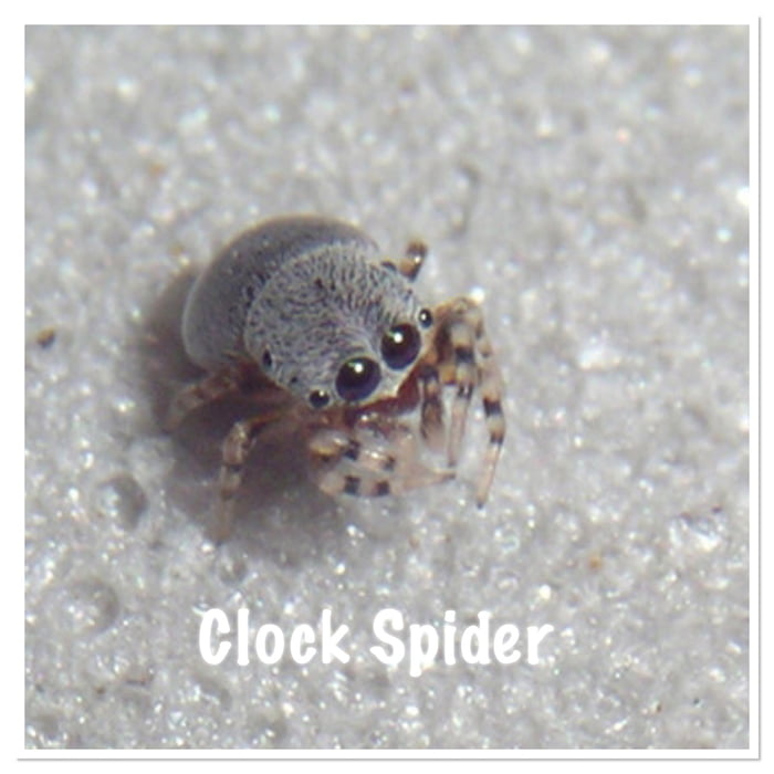 Things not to google #3 - 9GAG