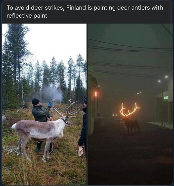 Seems cool though - 9GAG