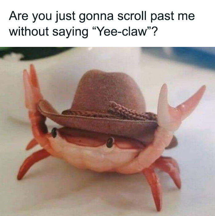 This is a pretty crabby post! - 9GAG