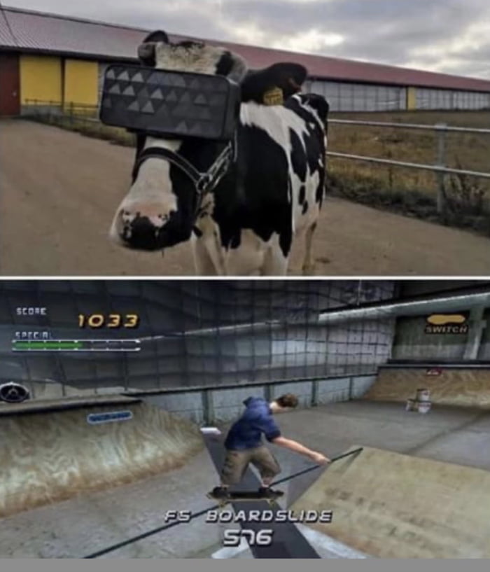 Mooo - 9GAG