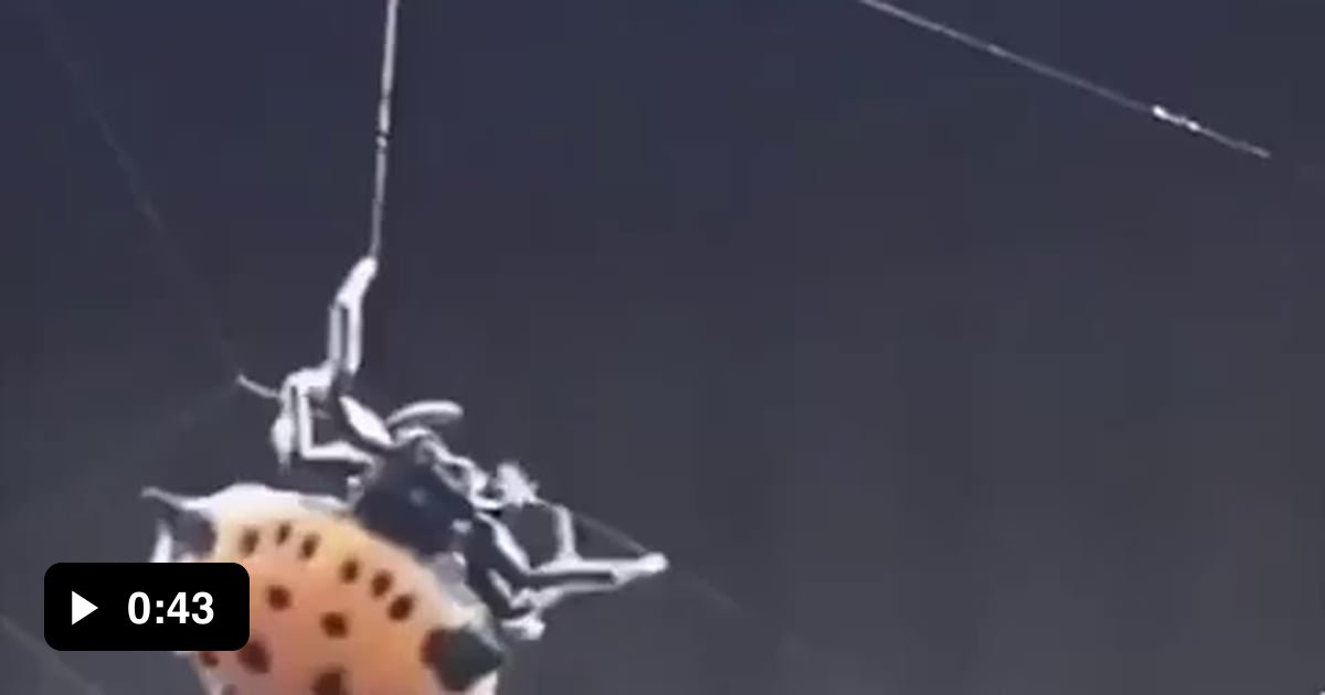 Spider making its web. - 9GAG