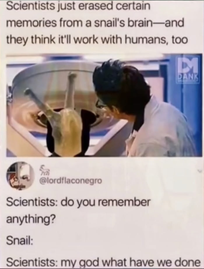 What Have We Done 9gag