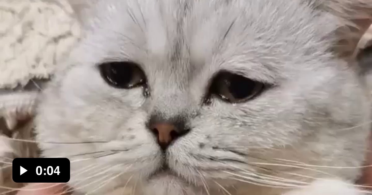 I was unable to catch the red dot - 9GAG