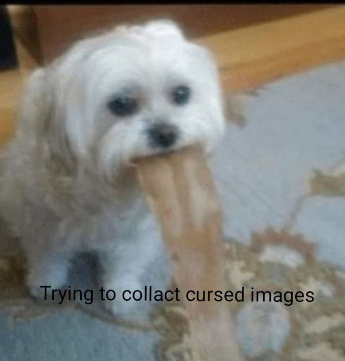 Requesting all of you cursed images. - 9GAG