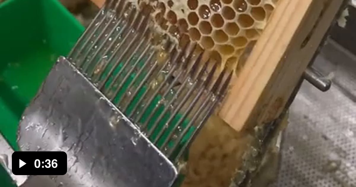 Cleaning bee hive - 9GAG