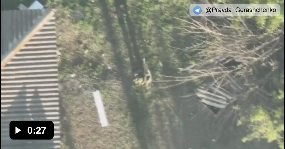 Guten morgen russische schweine soldaten! - 9GAG