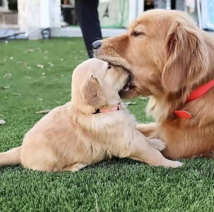 Mouth hug! - 9GAG