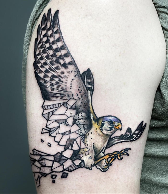 Kestrel by Joel at Oblivion Tattoo in Reykjavik Iceland - 9GAG