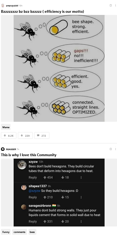 Buzzzzzz - 9GAG