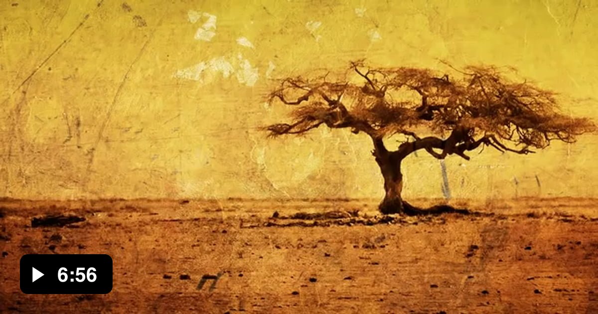 Blood Diamond - Solomon Vandy - 9GAG