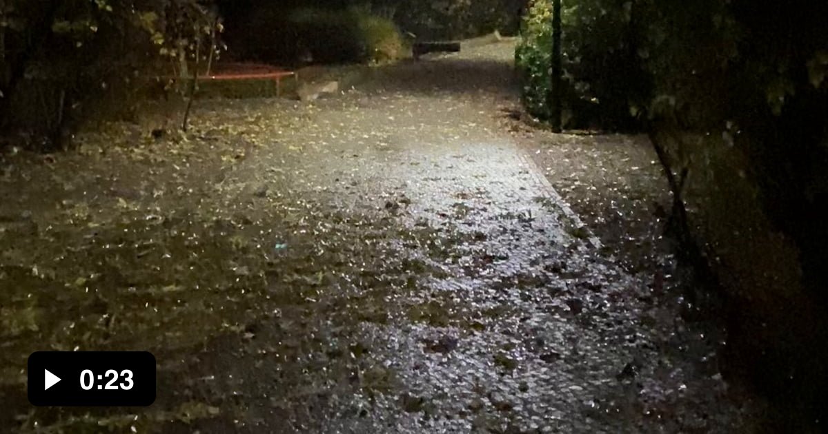 Some relaxing November vibes for you. Rainstorm at night in a park in ...