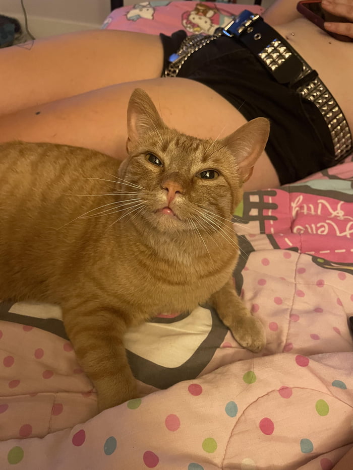 Oliver looking derpy - 9GAG