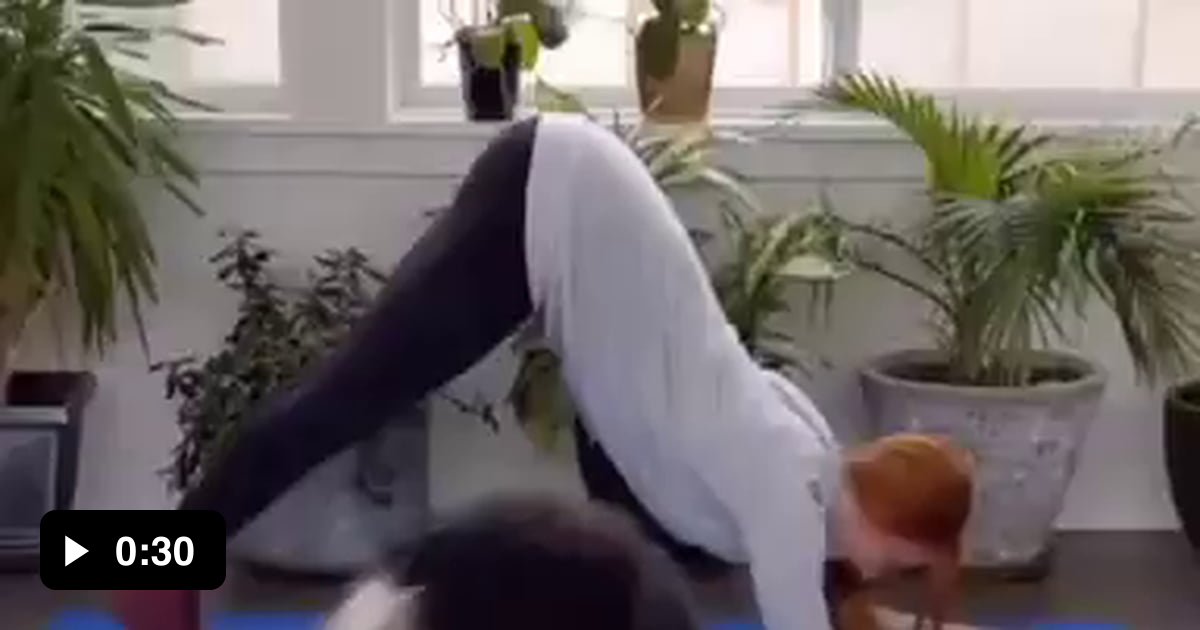 It's time for some yoga - 9GAG