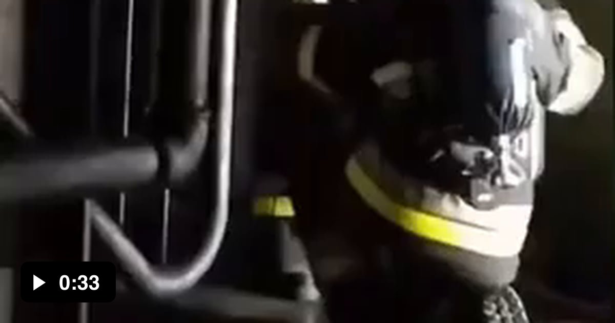 Firefighters protecting themselves from a backdraft - 9GAG