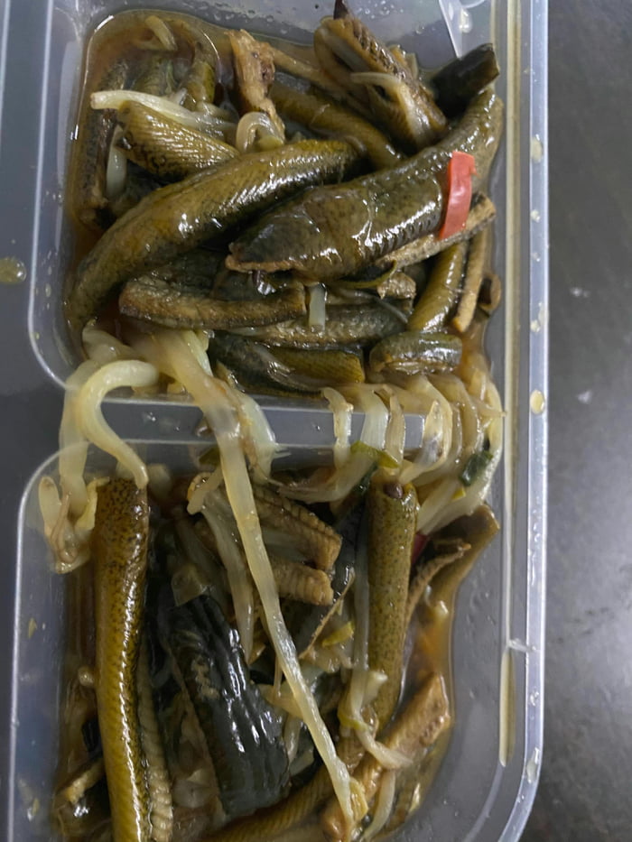 Steamed asian swamp eels with potatoes - 9GAG