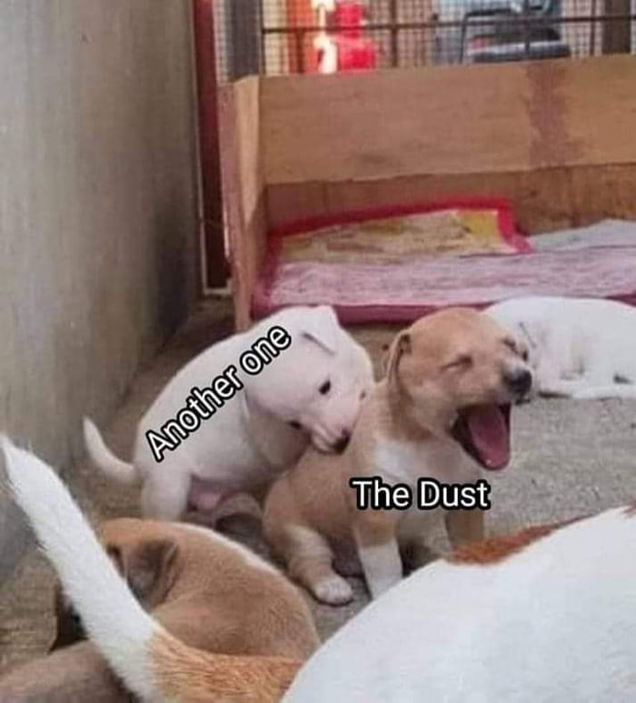 Does this qualify? - 9GAG