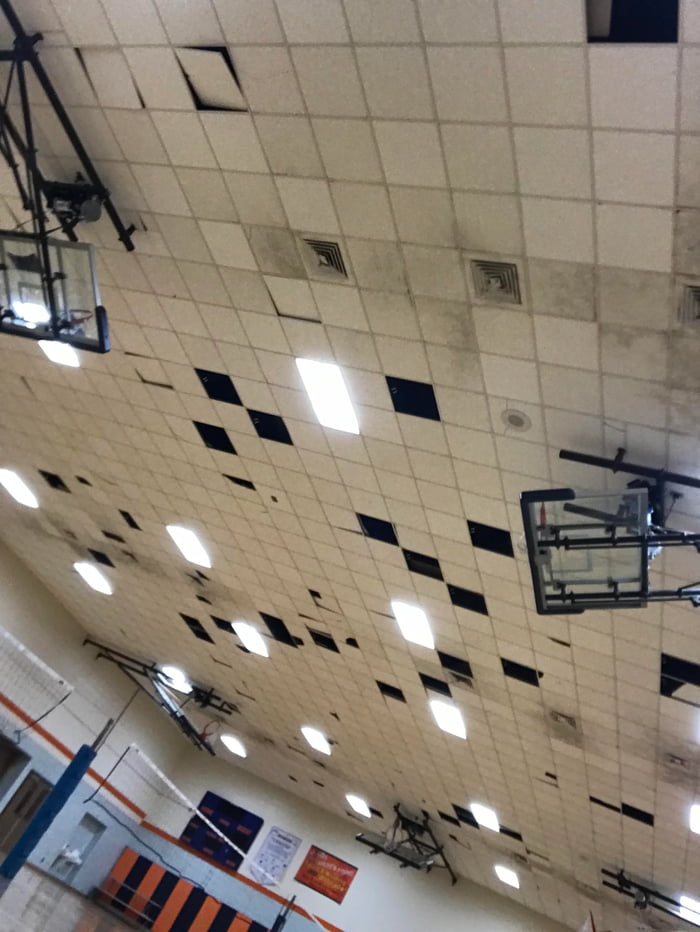 Putting Office Tiles In The Gym Ceiling - 9GAG