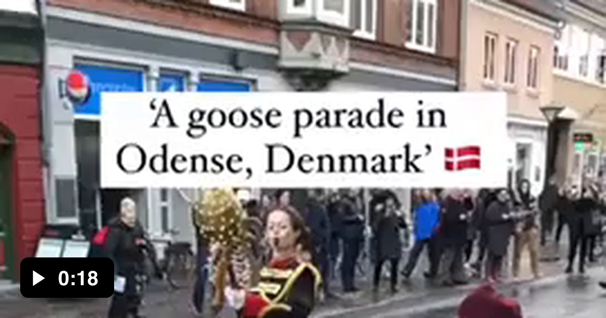 Goose parade - 9GAG