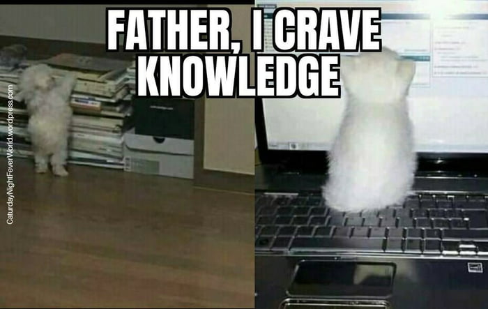 Cute kitty cat likes to learn - 9GAG