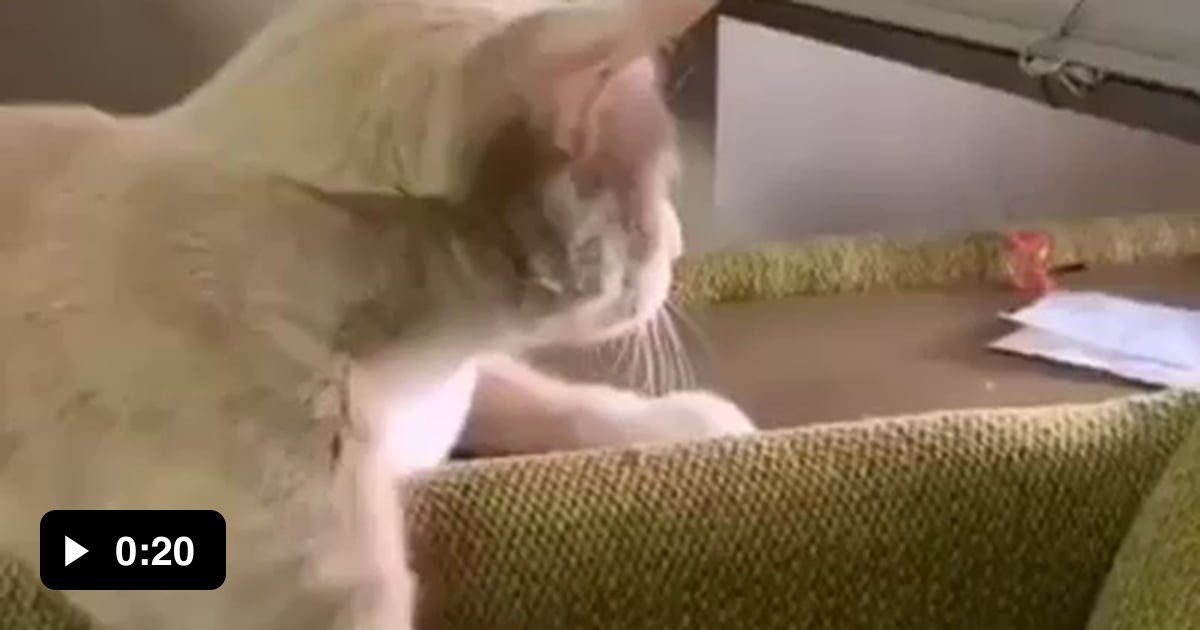 Multi-tasking mom - 9GAG