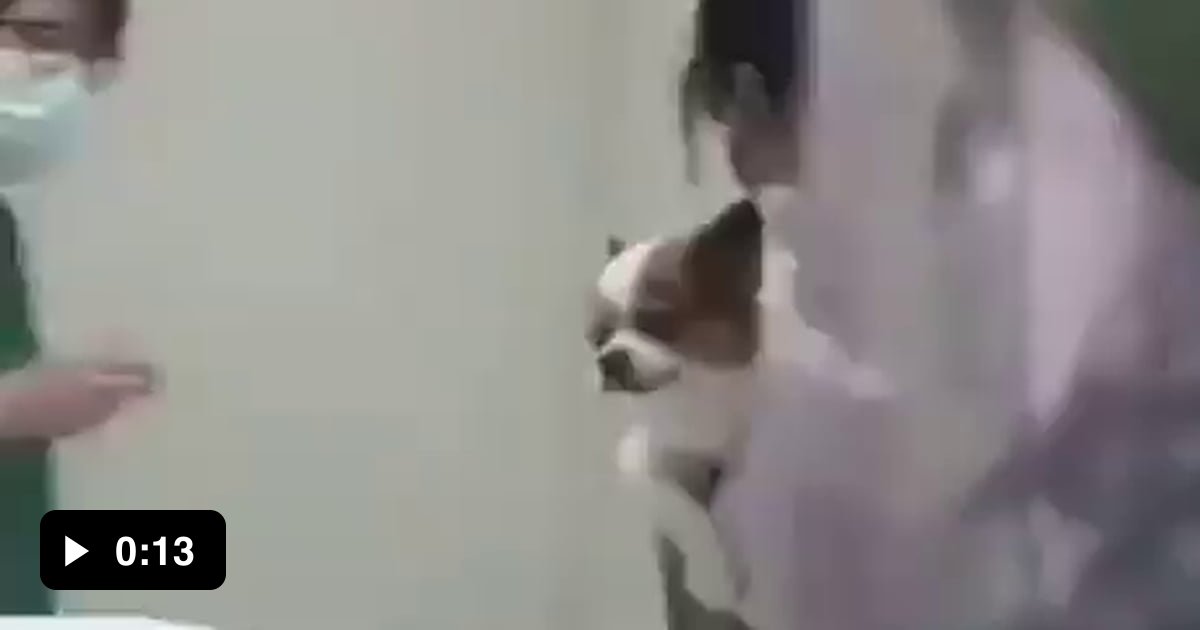 The face of pure terror - 9GAG
