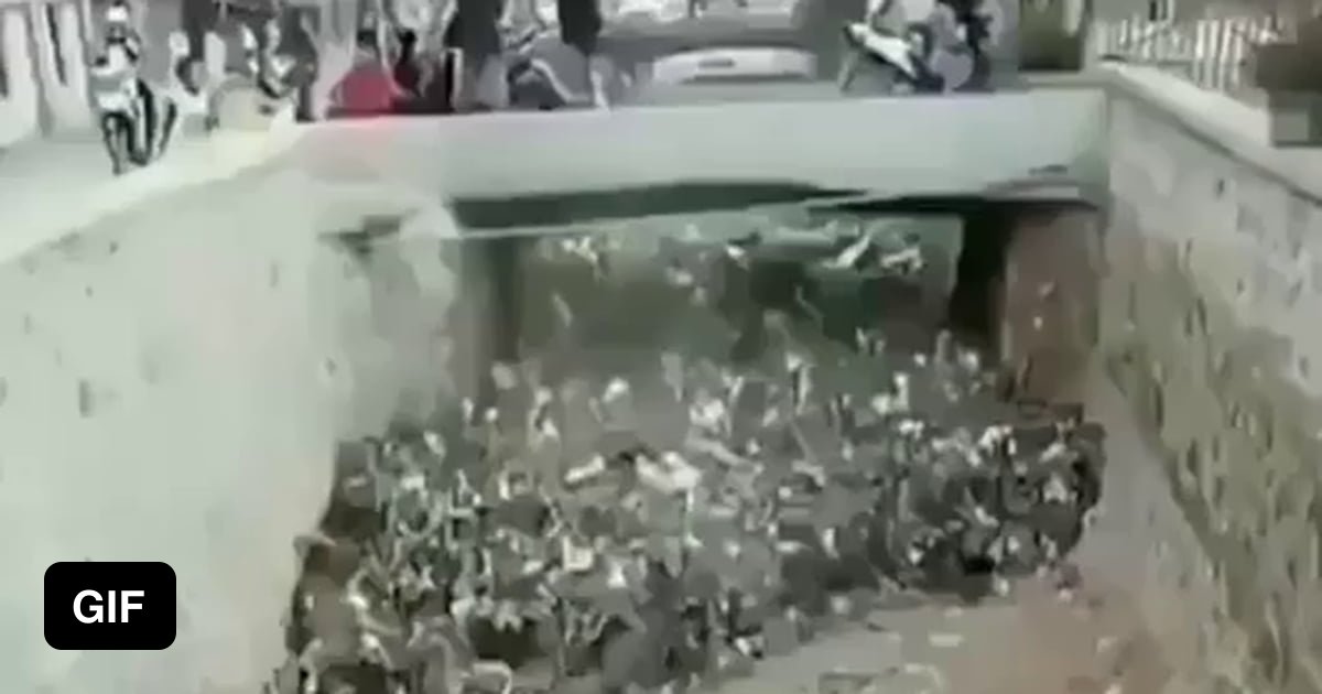 Here comes the rain again - 9GAG