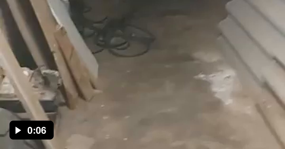 Bye bye fingers - 9GAG