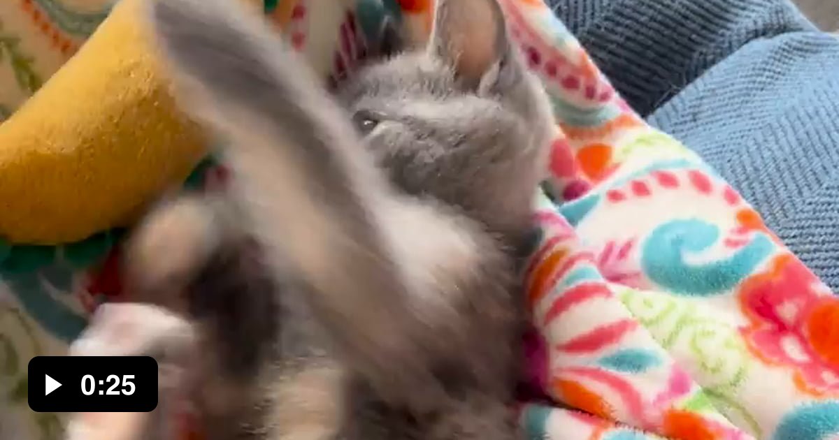 Archival footage of a smol - 9GAG