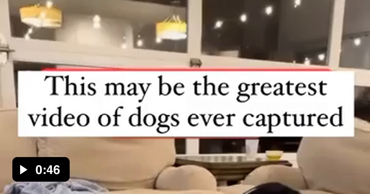 Honestly, this is an absolute gem. - -sostarbcs video. - 9GAG