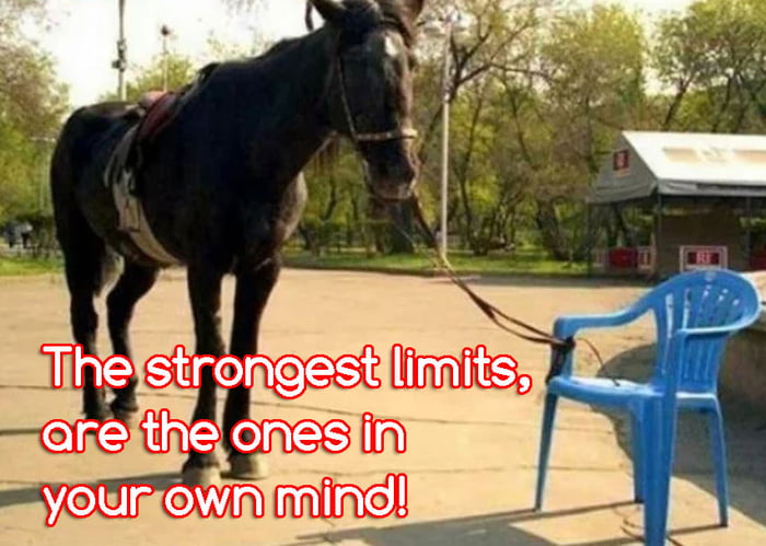 Words of wisdom, if you feel down or depressed look up Nick Vujicic. A ...