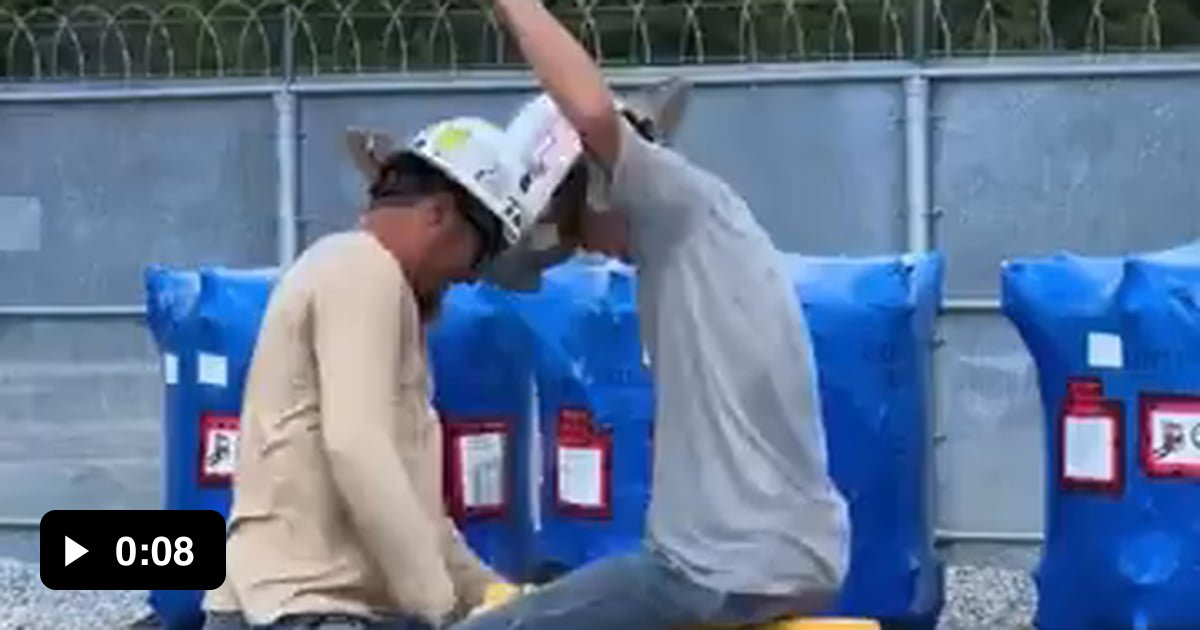 Just a couple bros riding a jack hammer - 9GAG