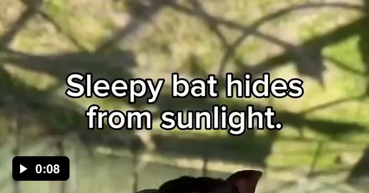 Cute lil bato - 9GAG