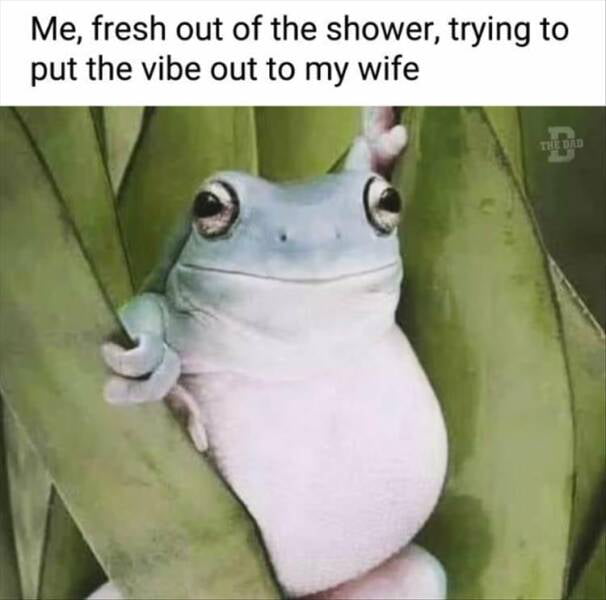 Wednesday frog - 9GAG